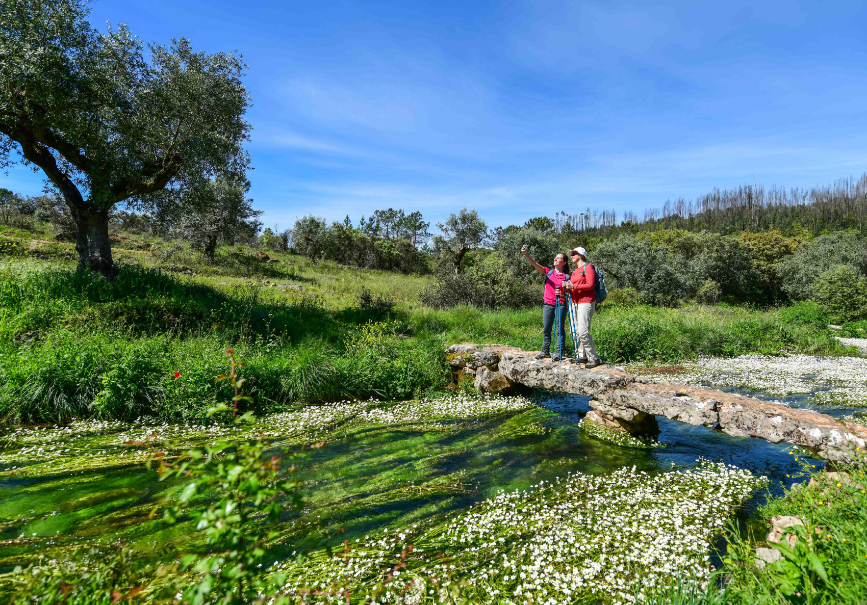 Sicó Outdoor Center | Aventura em Ansião e Alvaiázere